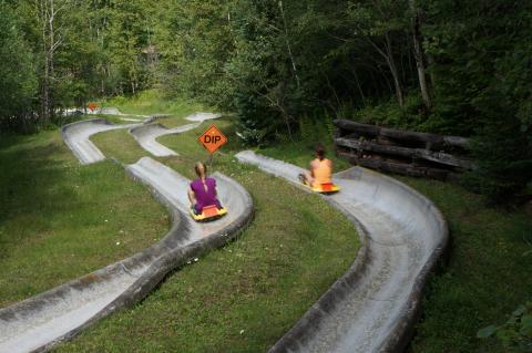Alpine Slide | Eagle Ridge Resort